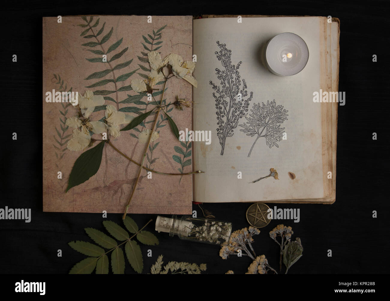 Ancient book with dried herbs and burning candle Stock Photo - Alamy