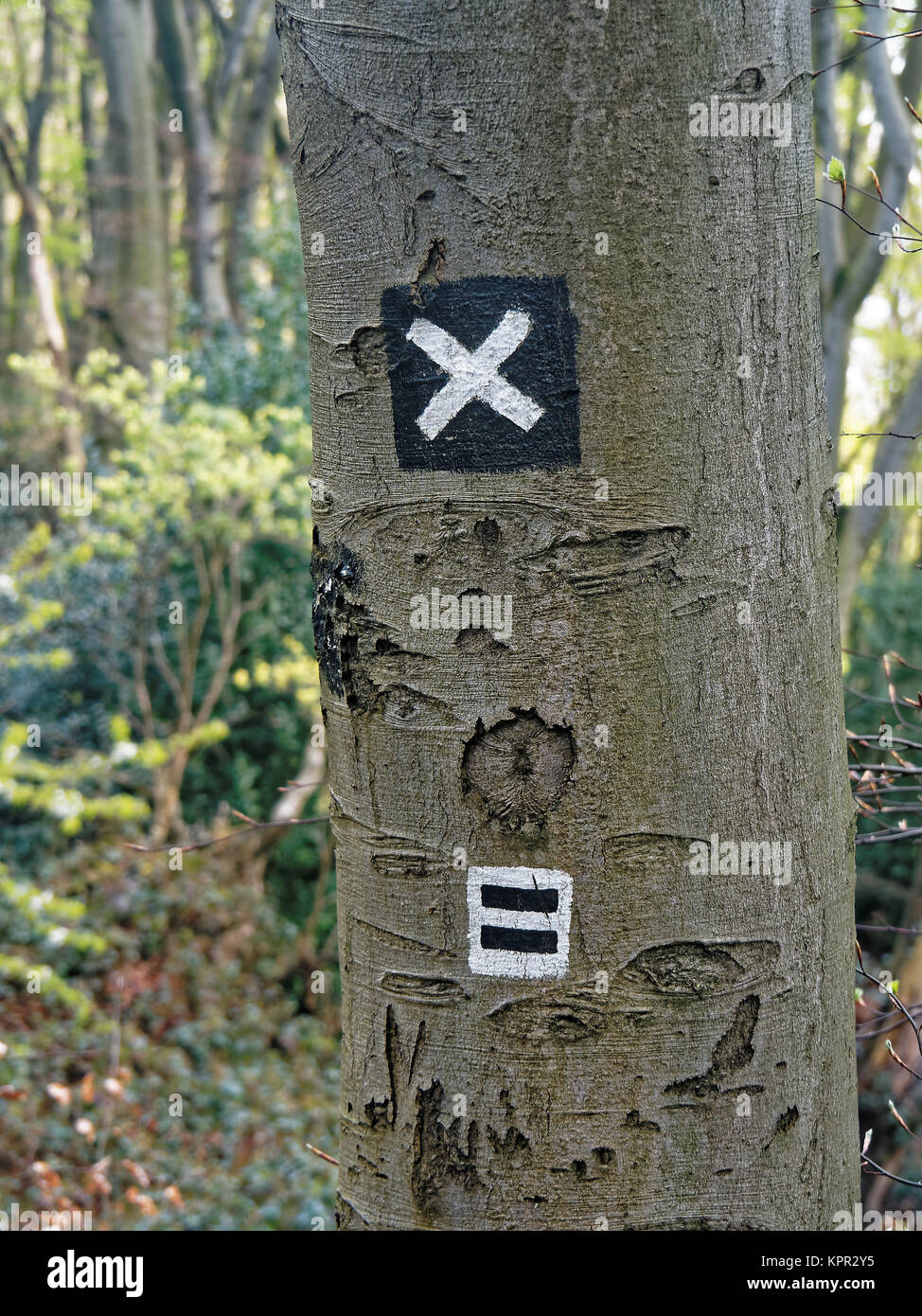Hiking trail sign on a tree Stock Photo - Alamy
