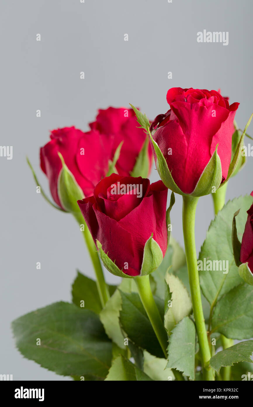 Bouquet of fresh red roses Stock Photo - Alamy