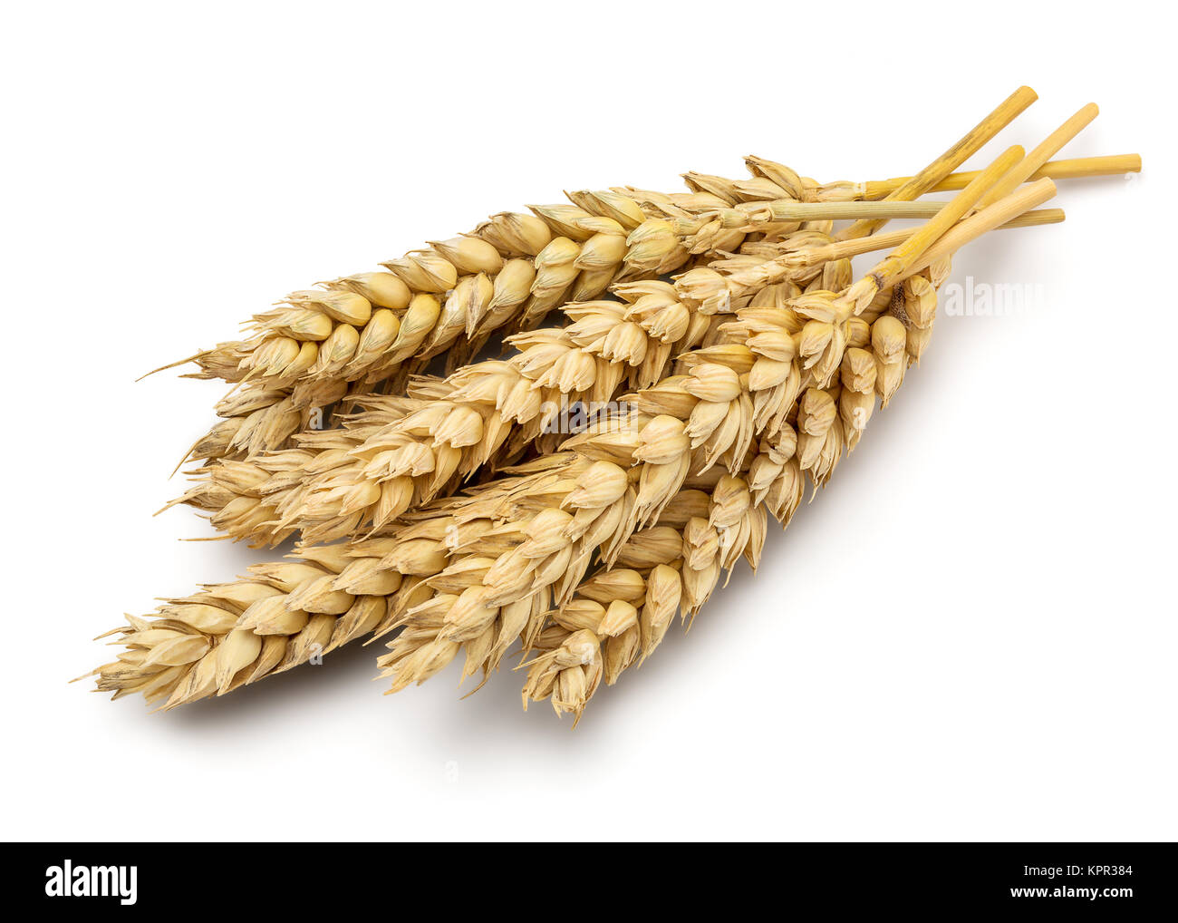 Dried Wheat Ear Stock Photo - Alamy