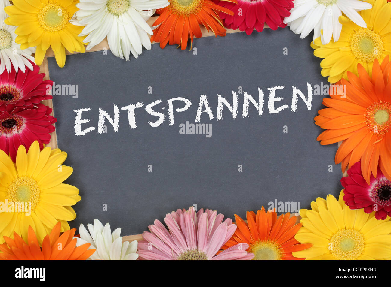 Entspannen Entspannung erholen Erholung Garten mit bunten Blumen Blume ...