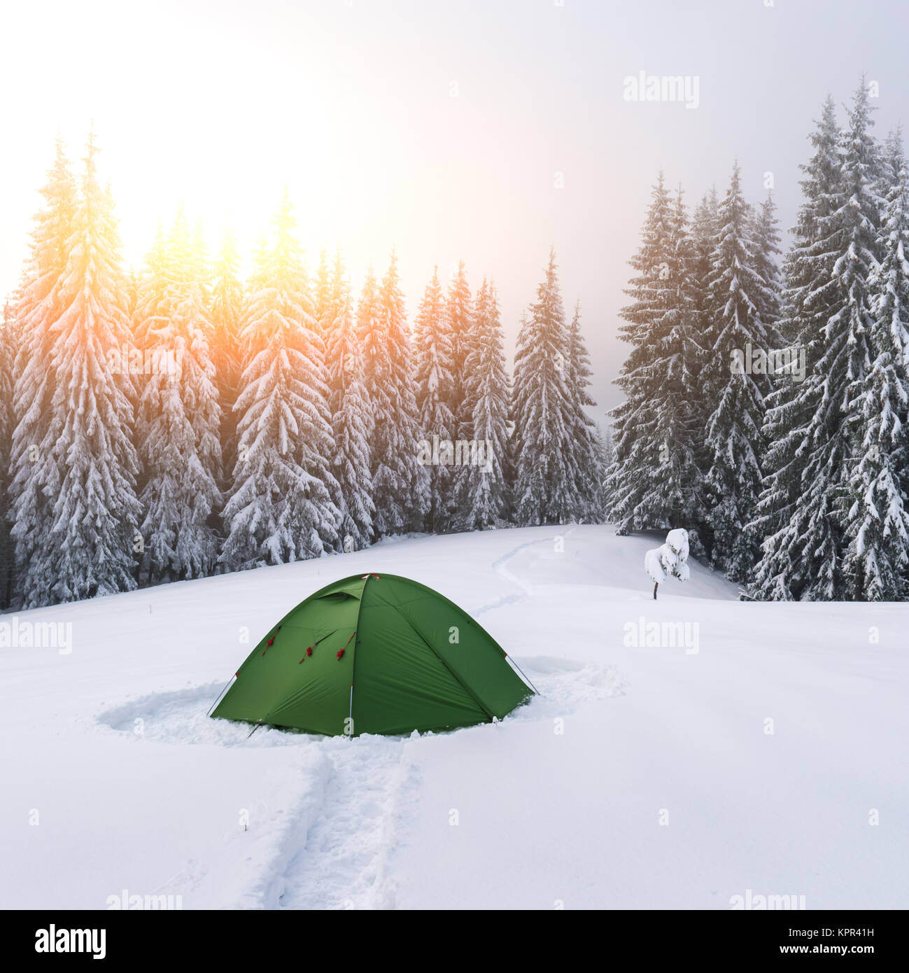 Green tent in winter mountains Stock Photo - Alamy