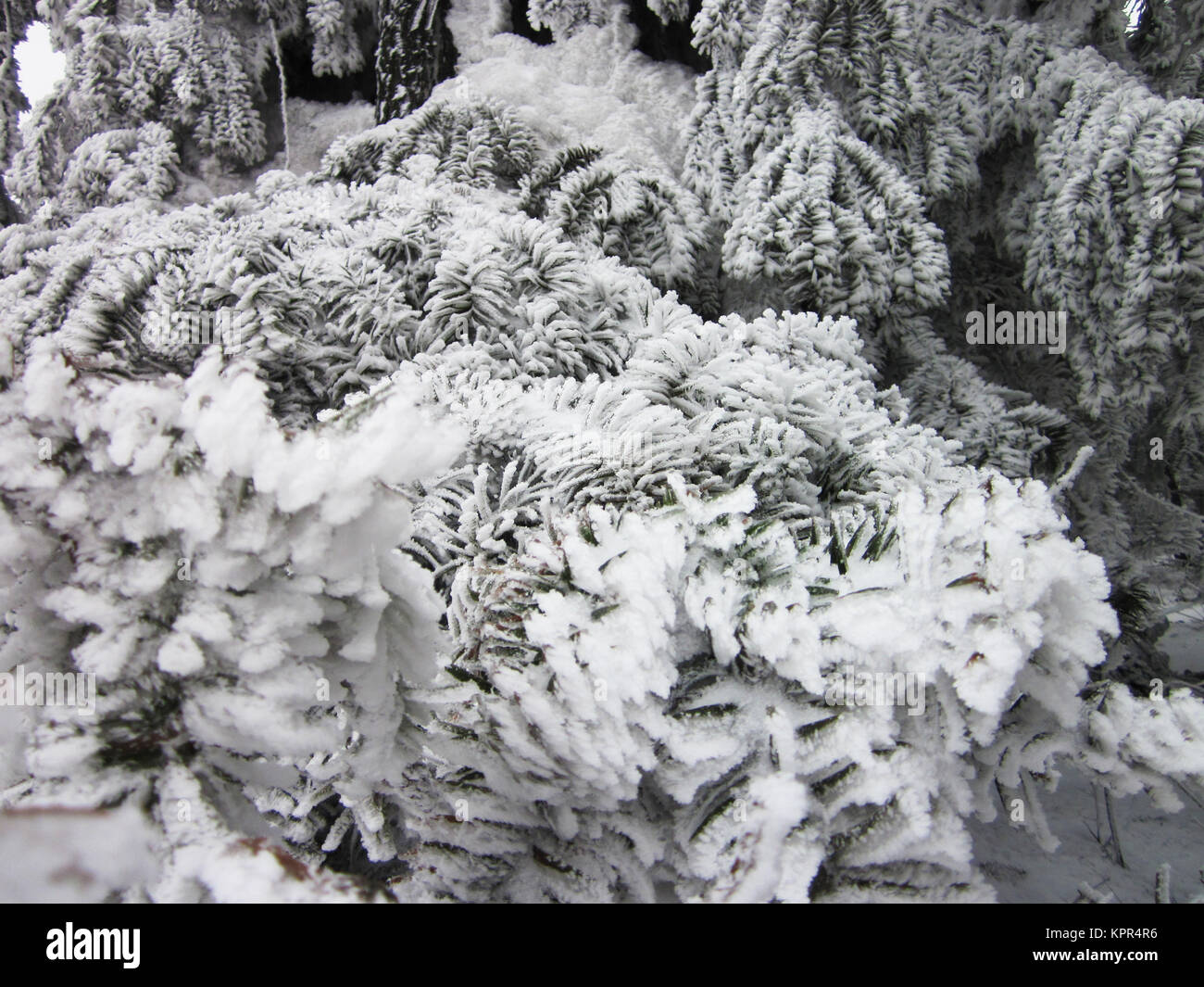 North rime ice hi-res stock photography and images - Alamy