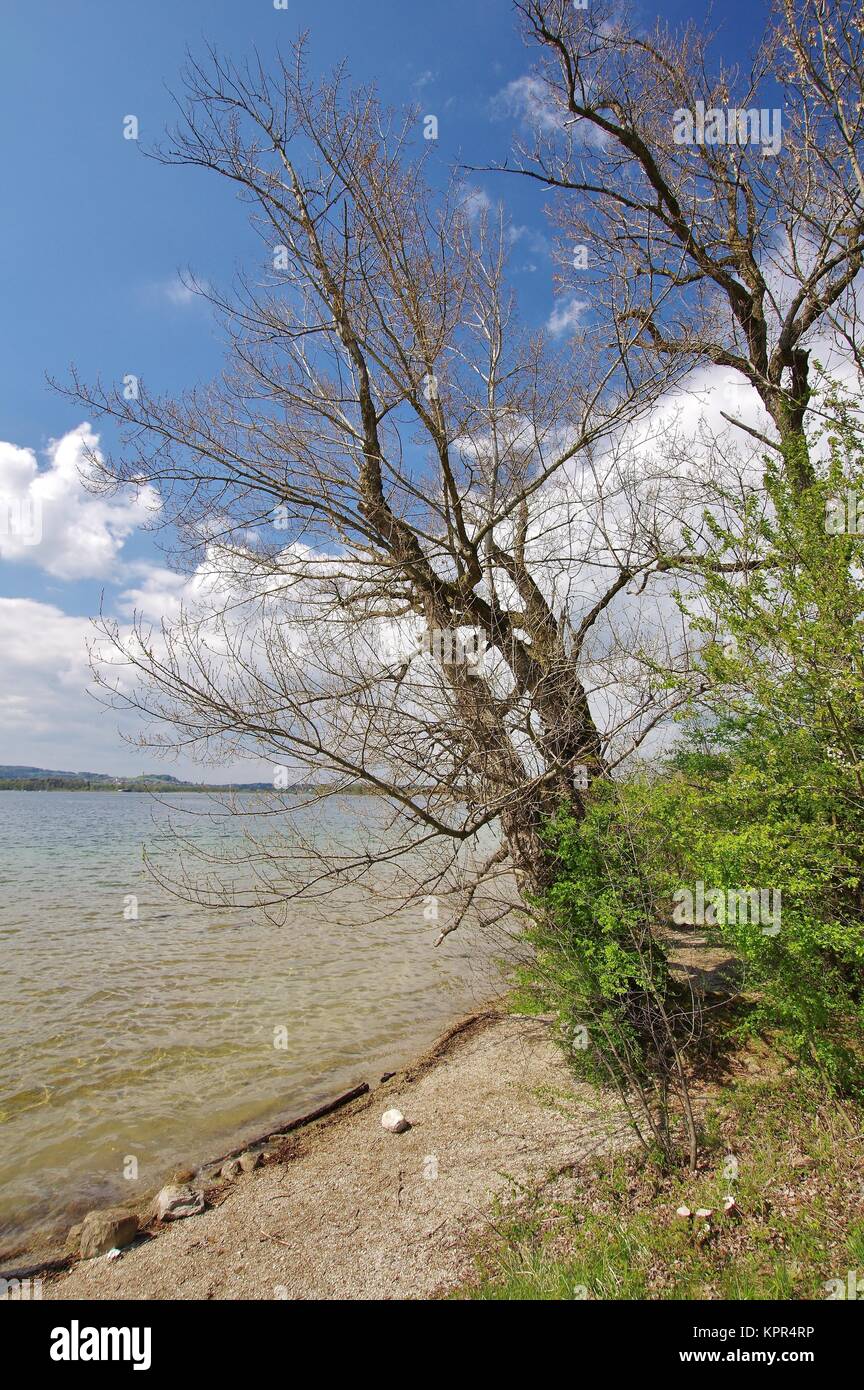 shore view of Stock Photo - Alamy