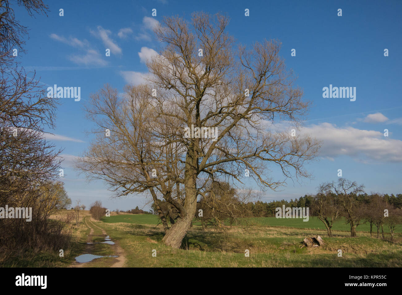 landscape in spring Stock Photo - Alamy