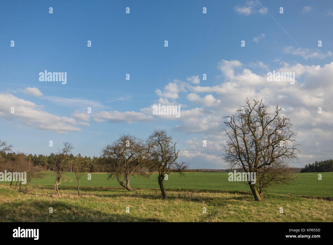 landscape in spring Stock Photo - Alamy