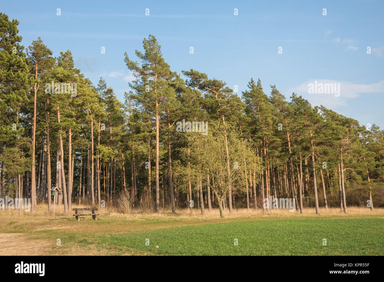 landscape in spring Stock Photo - Alamy