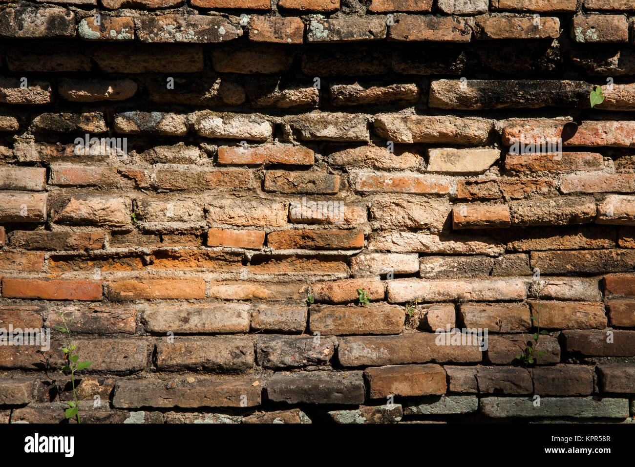 Ancient wall texture hi-res stock photography and images - Alamy