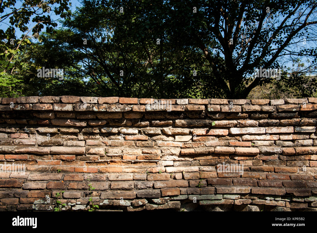 Ancient wall texture / ancient brick wall Stock Photo - Alamy