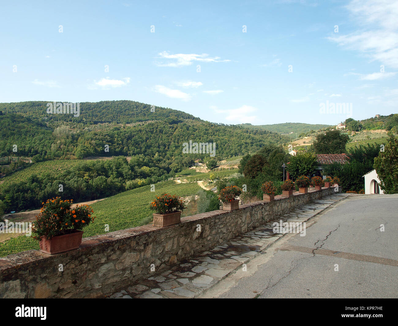 Terrace with grapevine hi-res stock photography and images - Alamy