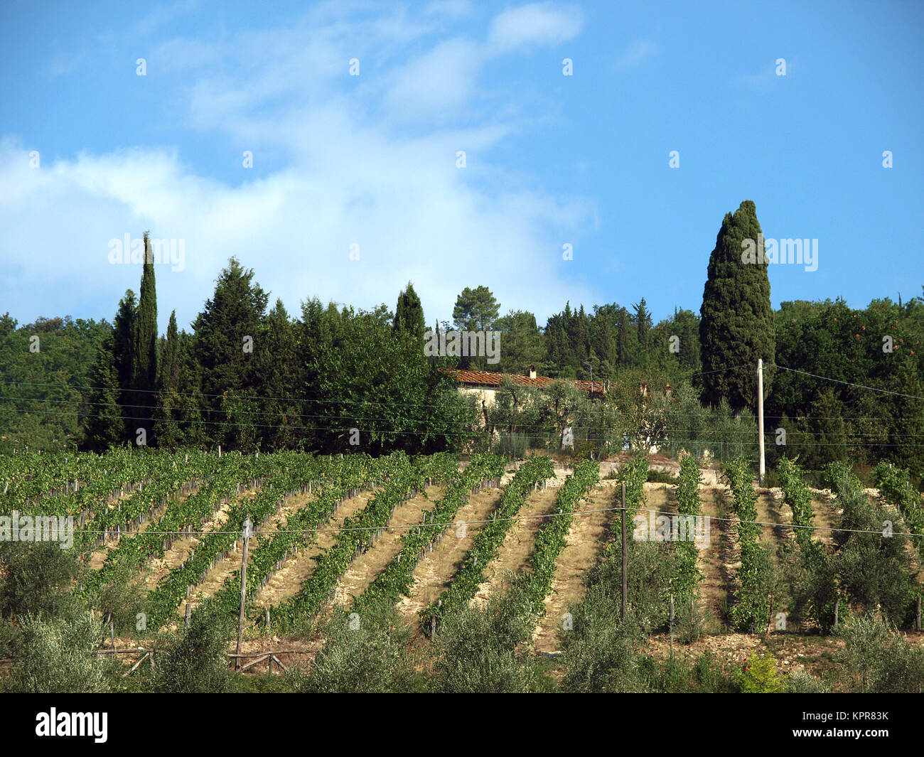 Brunello region hi-res stock photography and images - Alamy