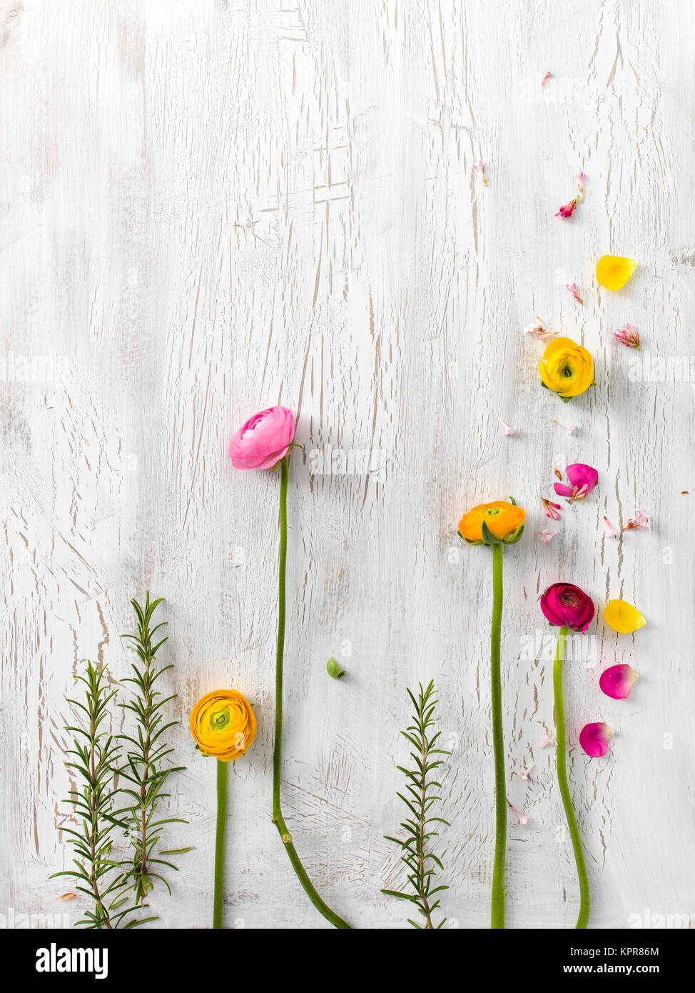 white wood background with flowers Stock Photo - Alamy