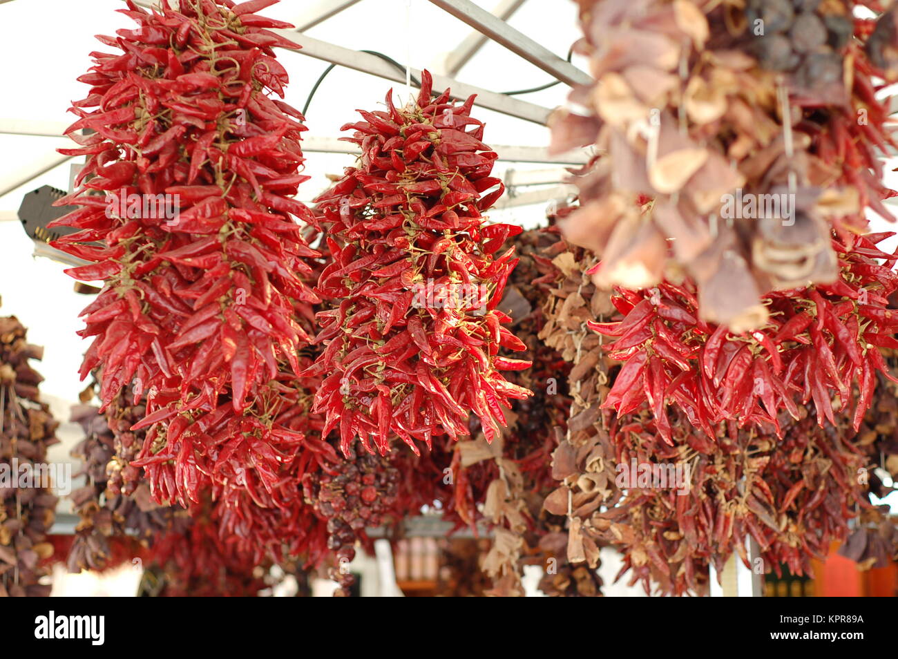 dried red chillies hanging on a market place Stock Photo - Alamy