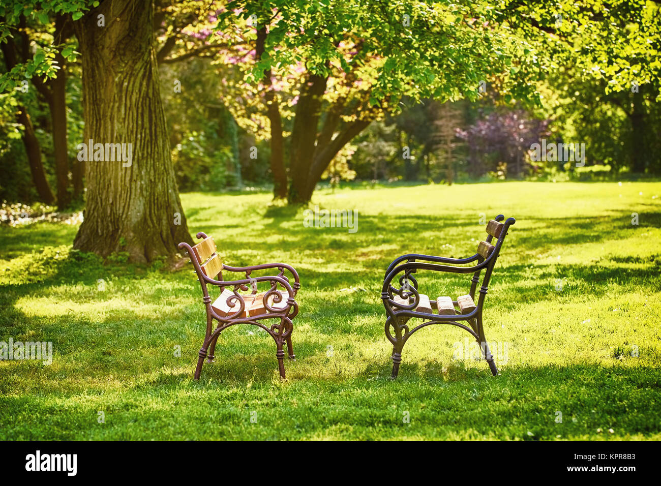 Benches in the Park Stock Photo - Alamy