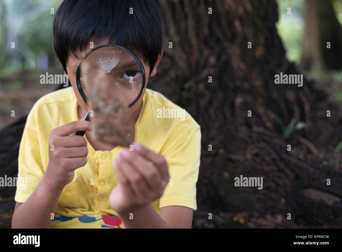 young asian boy observing a leaf using magnifying glass Stock Photo - Alamy