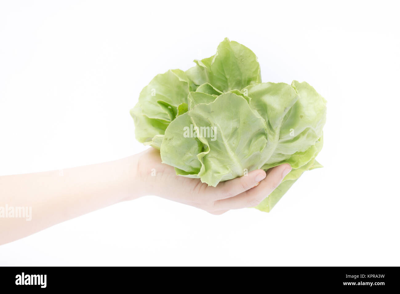 Hand on group of salad vegetable on white background Stock Photo - Alamy