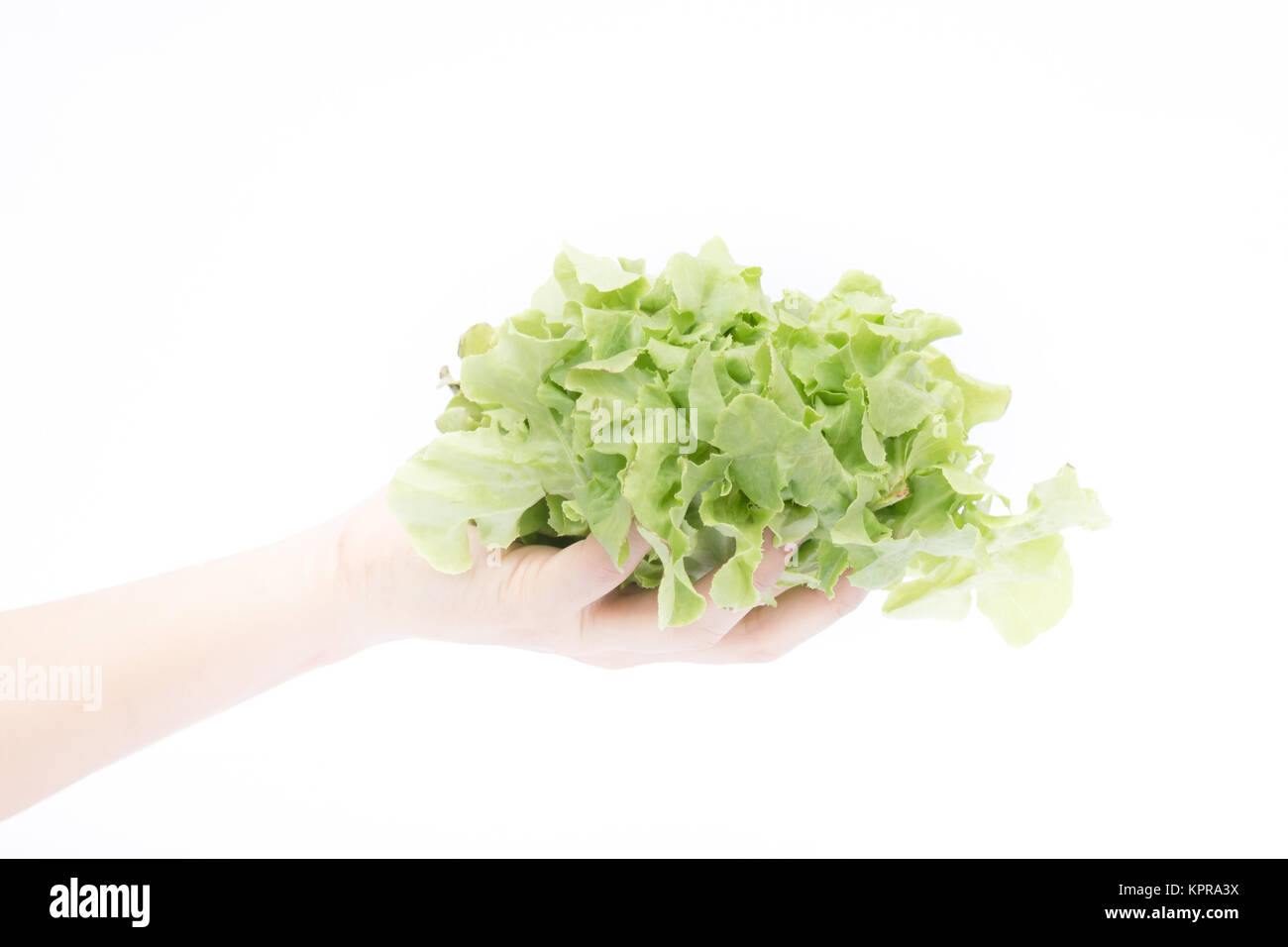 Hand on group of salad vegetable on white background Stock Photo - Alamy