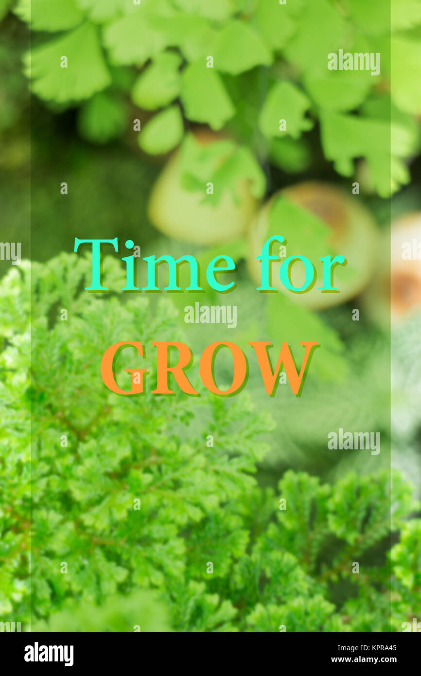 Time for growth. Inspirational quote Stock Photo - Alamy