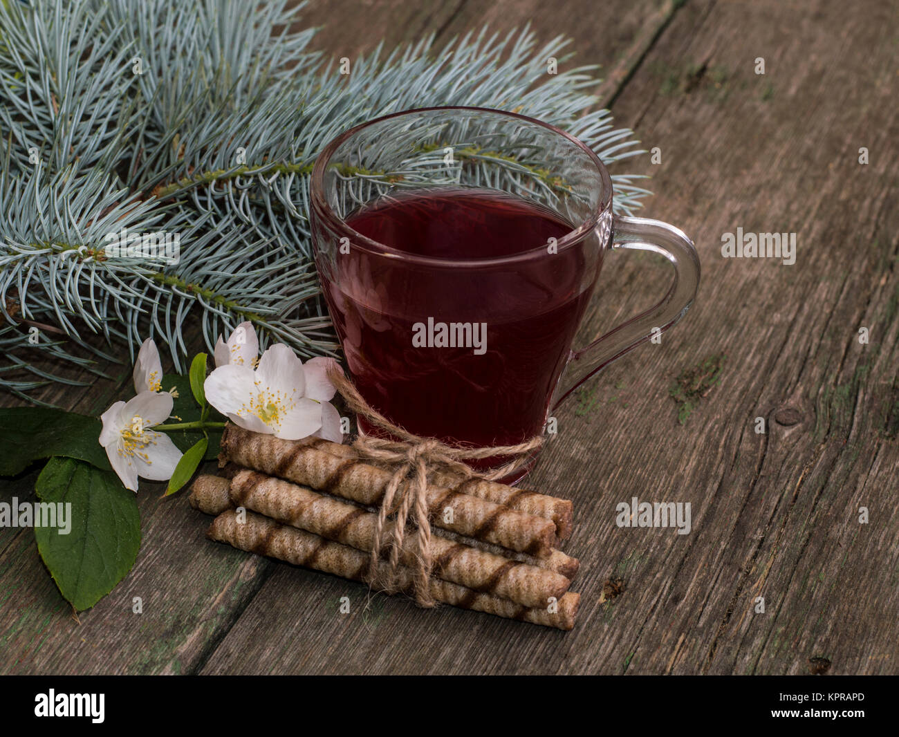 transparent cup of tea, fir-tree branch and floret, still life on Stock ...