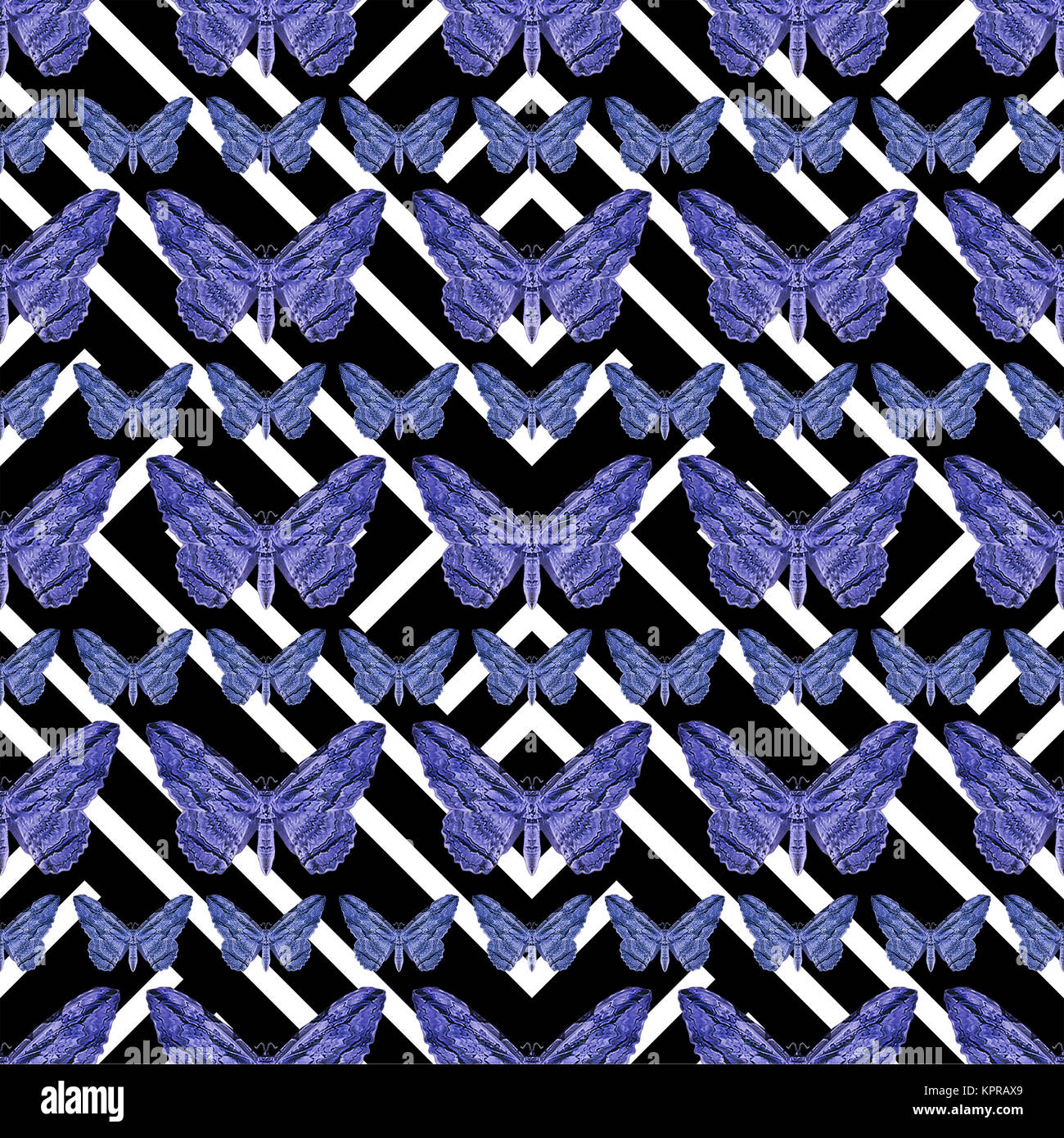 Geometric Butterflies Pattern Stock Photo - Alamy