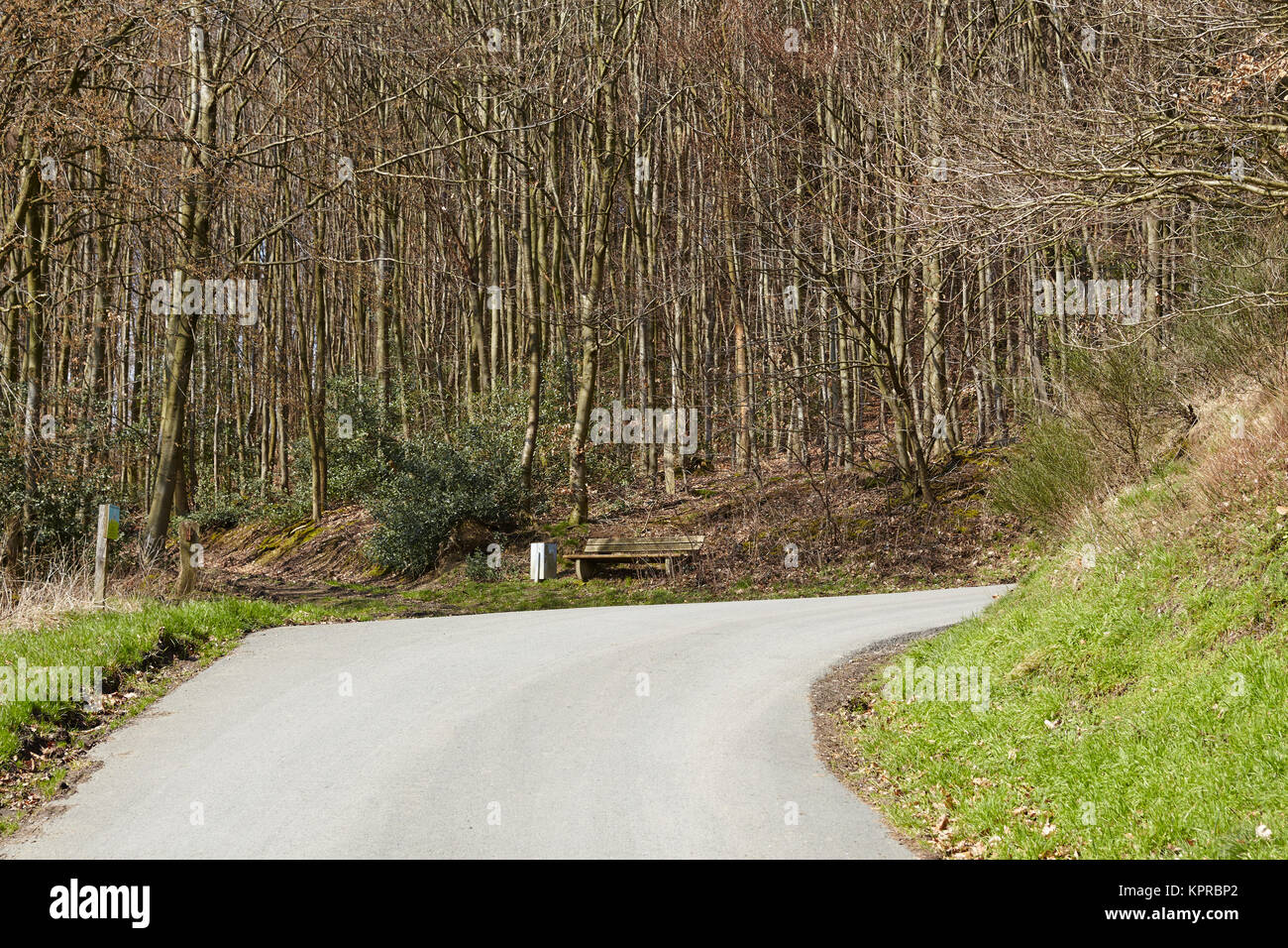 Road - Small road at the edge of a wood Stock Photo - Alamy
