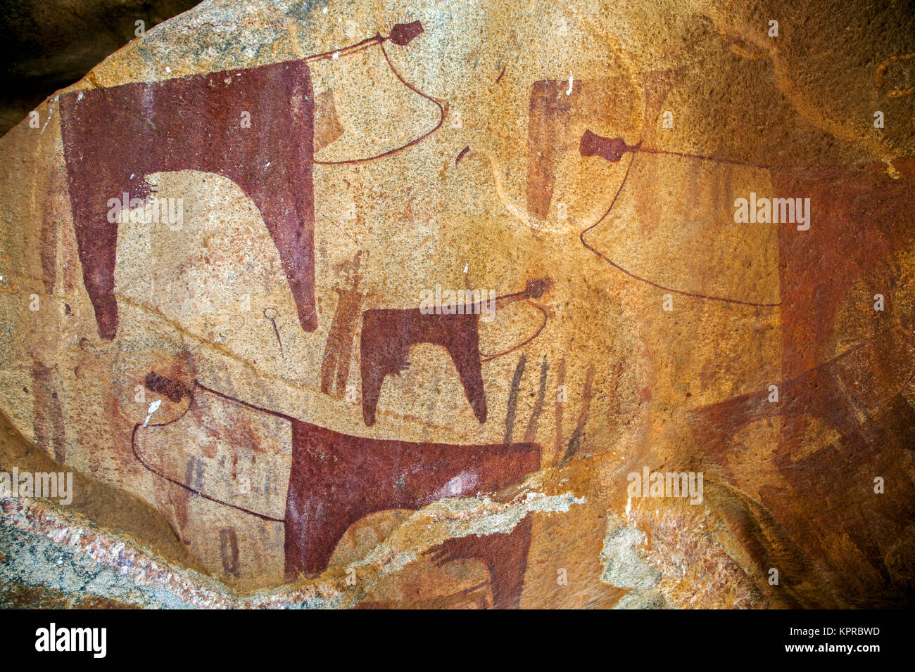 Cave paintings in Laas Geel caves in Somaliland Stock Photo - Alamy