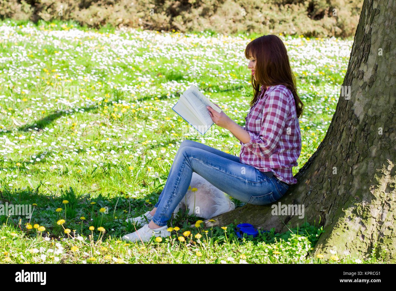 Beautiful Woman Relaxing Outdoor Reading Book Stock Photo - Alamy
