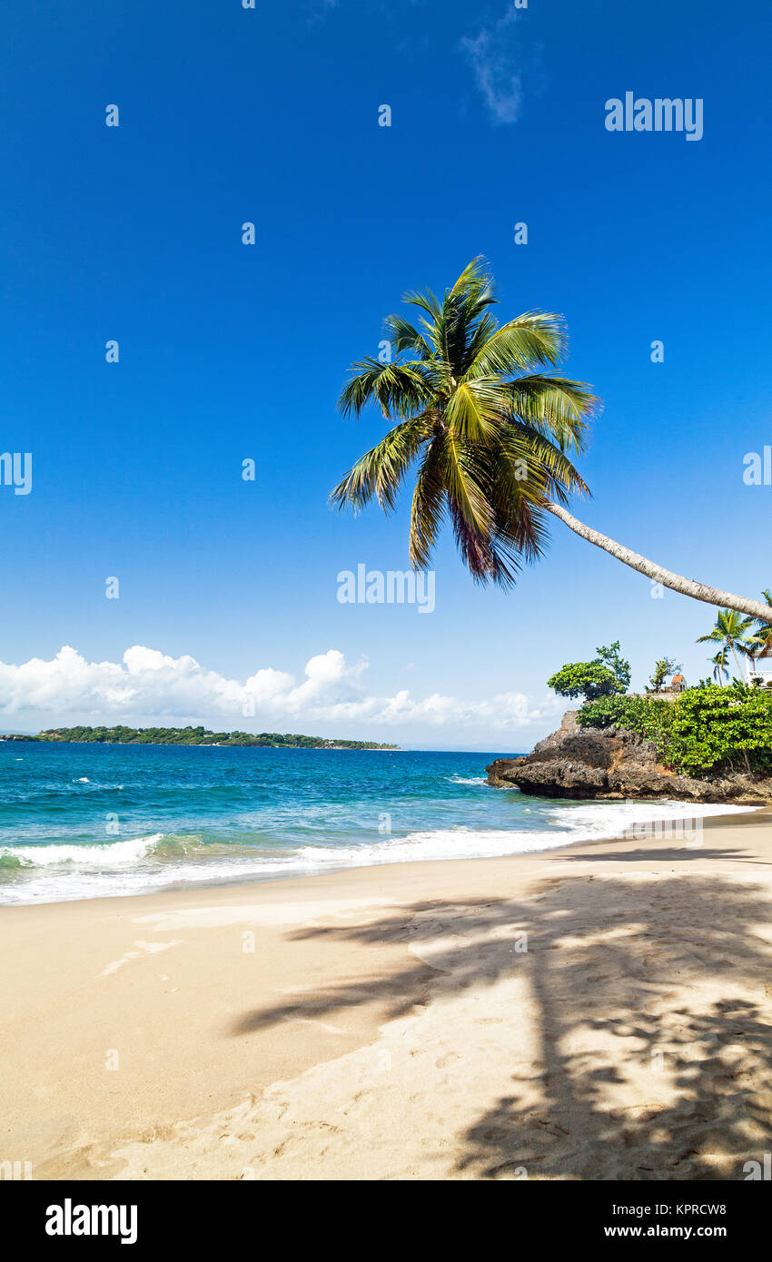 Samana beach hi-res stock photography and images - Alamy