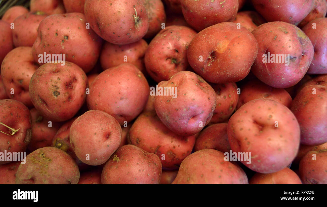 Tiny letterbox hi-res stock photography and images - Alamy