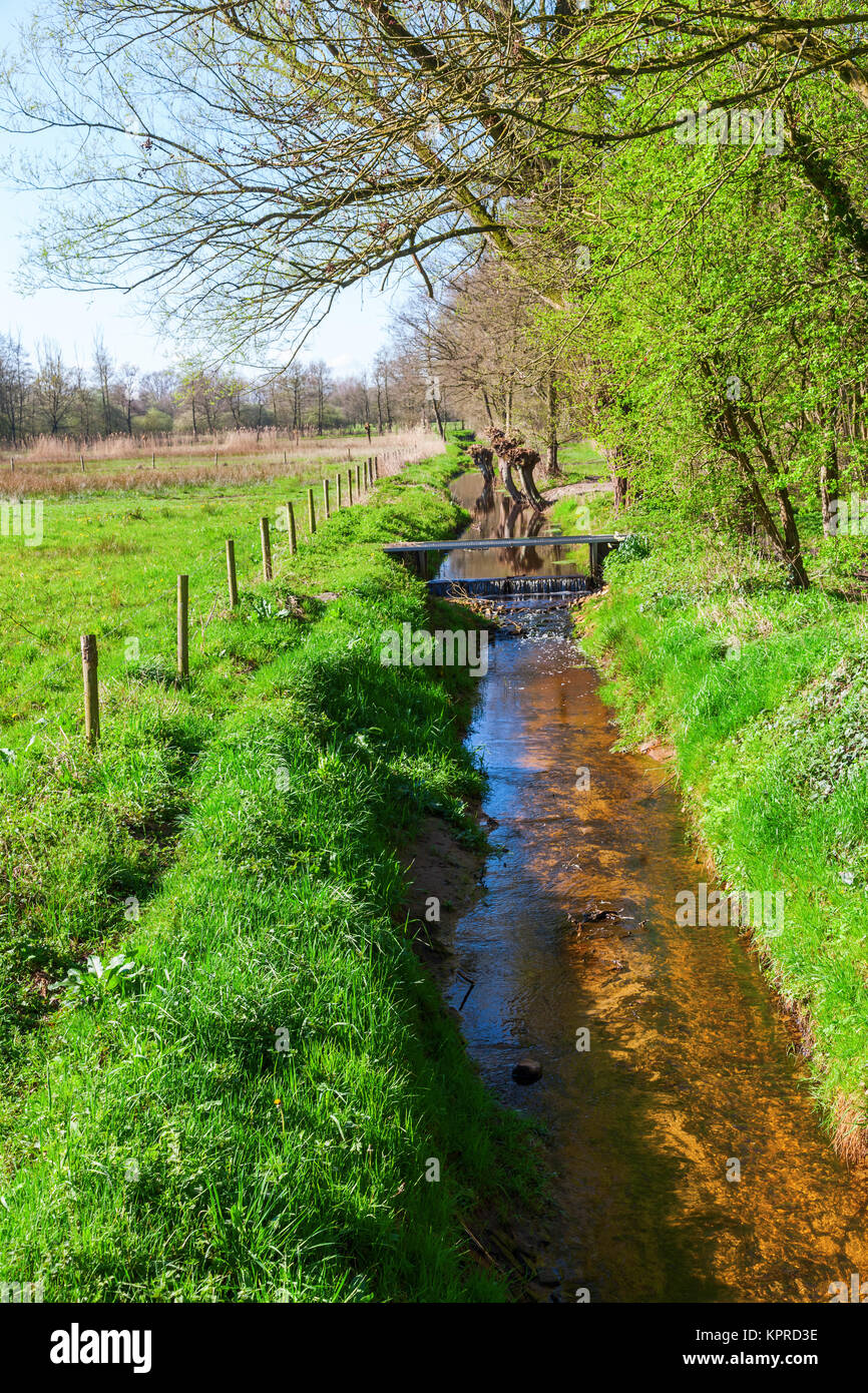 brook landscape in The Netherlands Stock Photo - Alamy