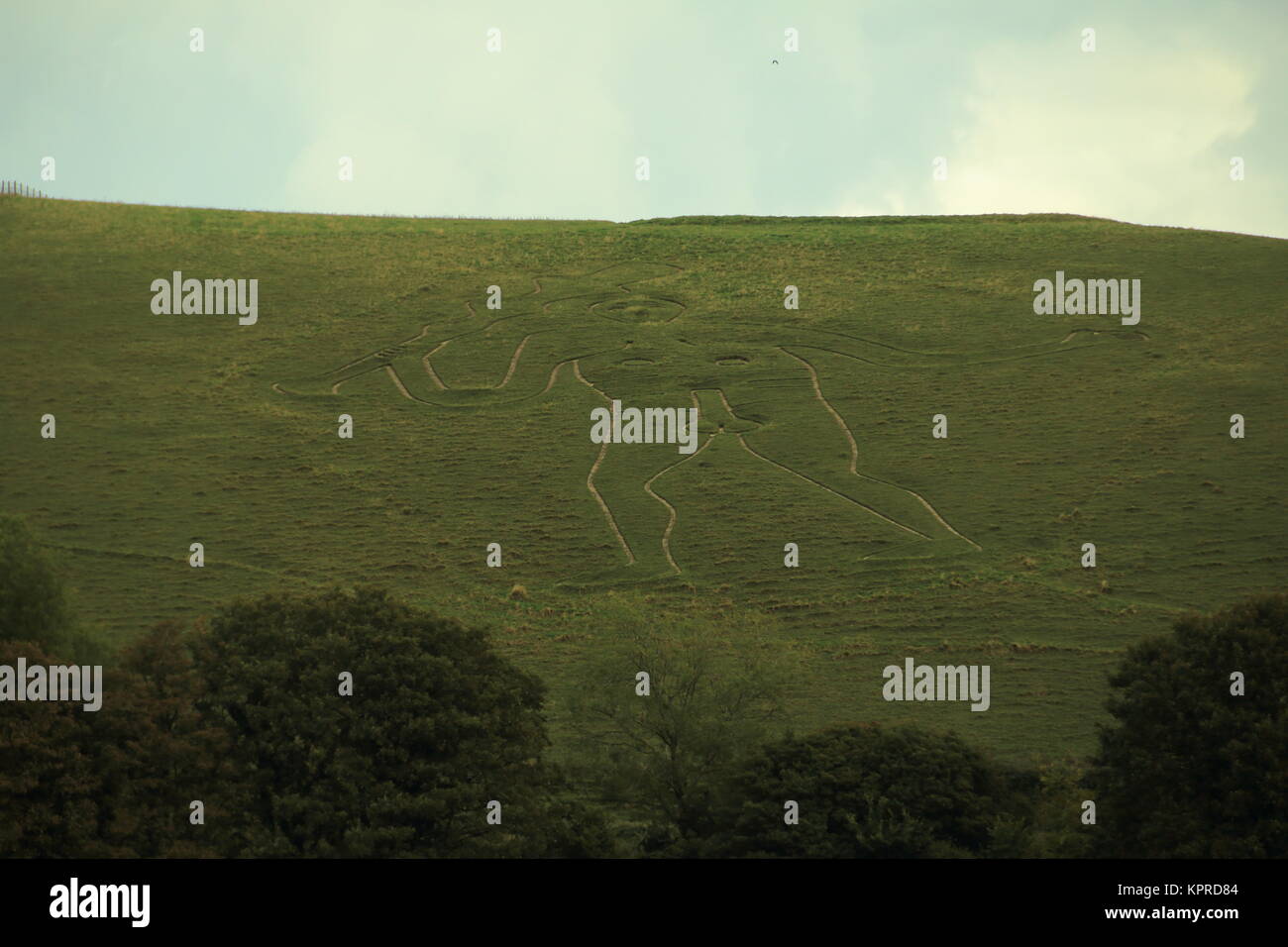 The Cerne Giant,Cerne Abbas,Dorset,UK Stock Photo - Alamy
