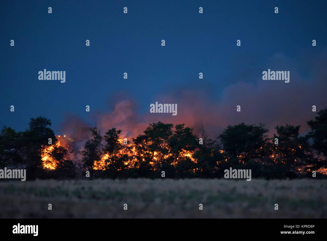 Forest fire at night Stock Photo - Alamy