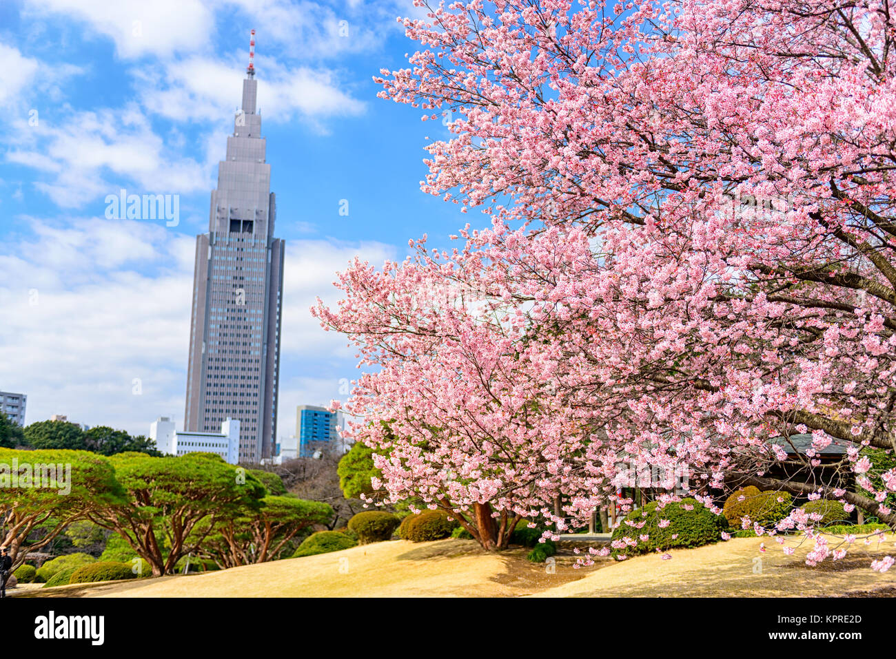 Tokyo, Japan Spring Stock Photo - Alamy