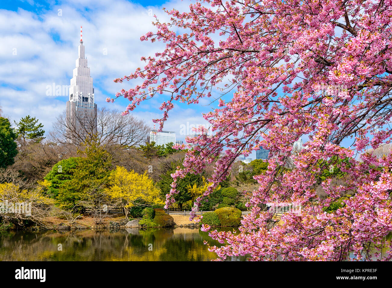 Tokyo, Japan Spring Stock Photo - Alamy