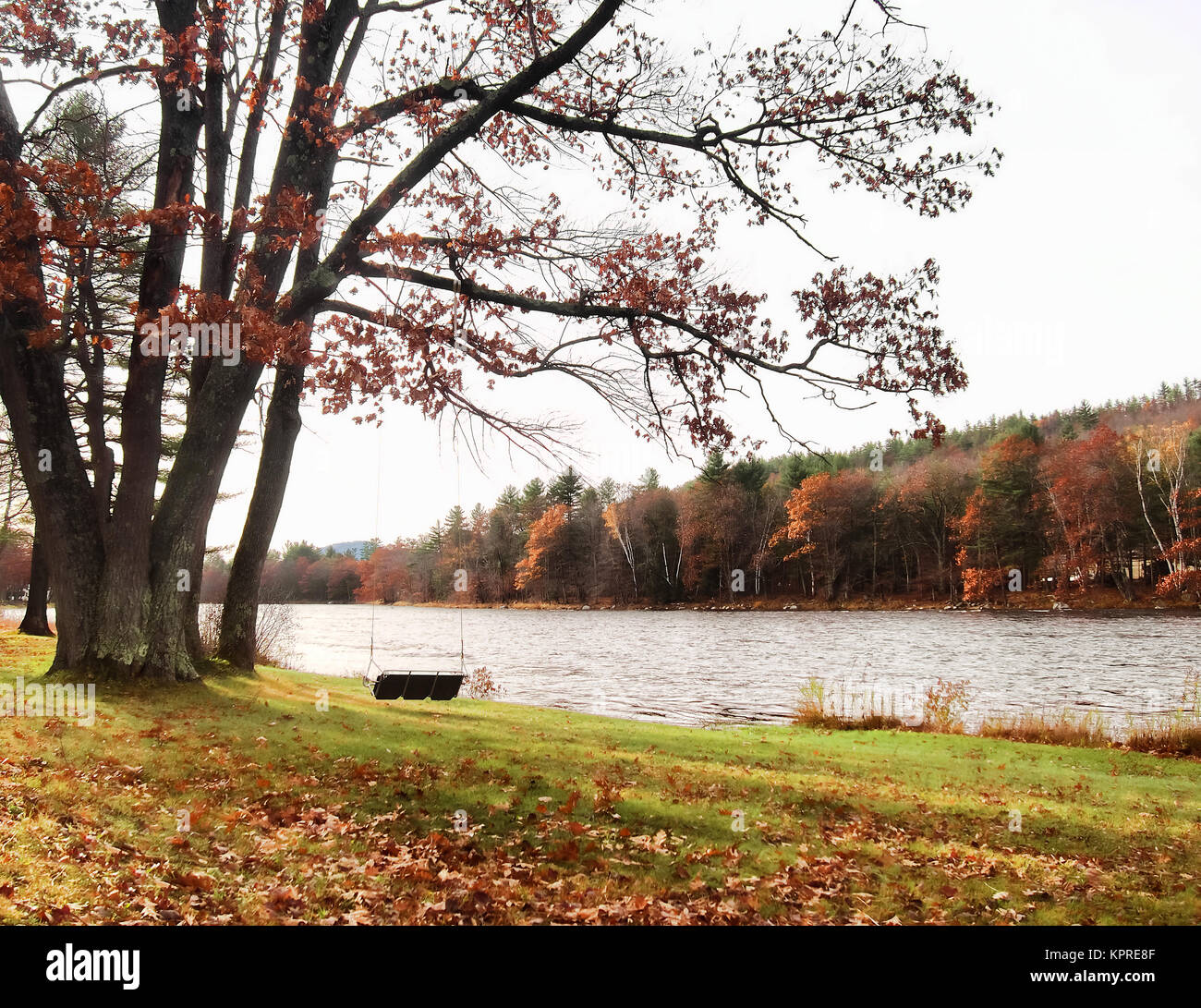 tree swing by a river in the Adirondacks in late afternoon Stock Photo ...