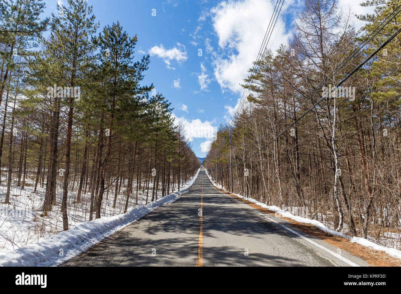 Straight forest road at winter time Stock Photo - Alamy