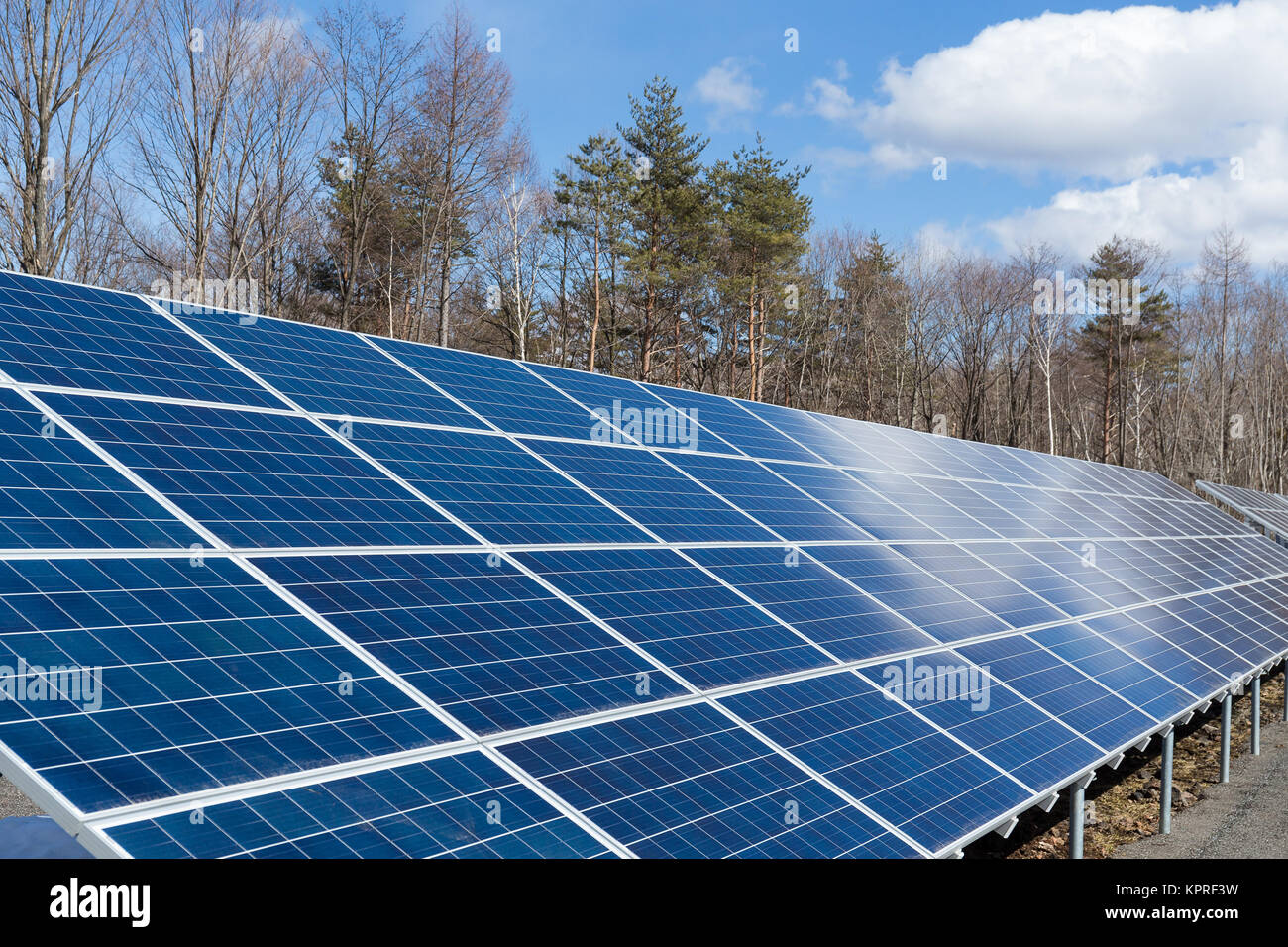 Solar panel with forest Stock Photo - Alamy