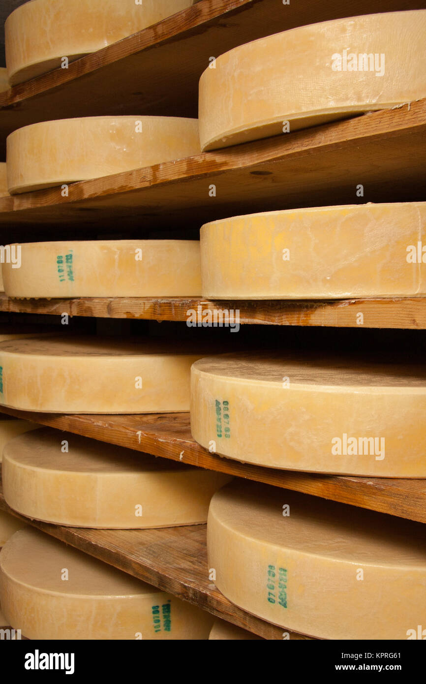 cheese cellar of the alpine hut in bregenzerwald Stock Photo - Alamy