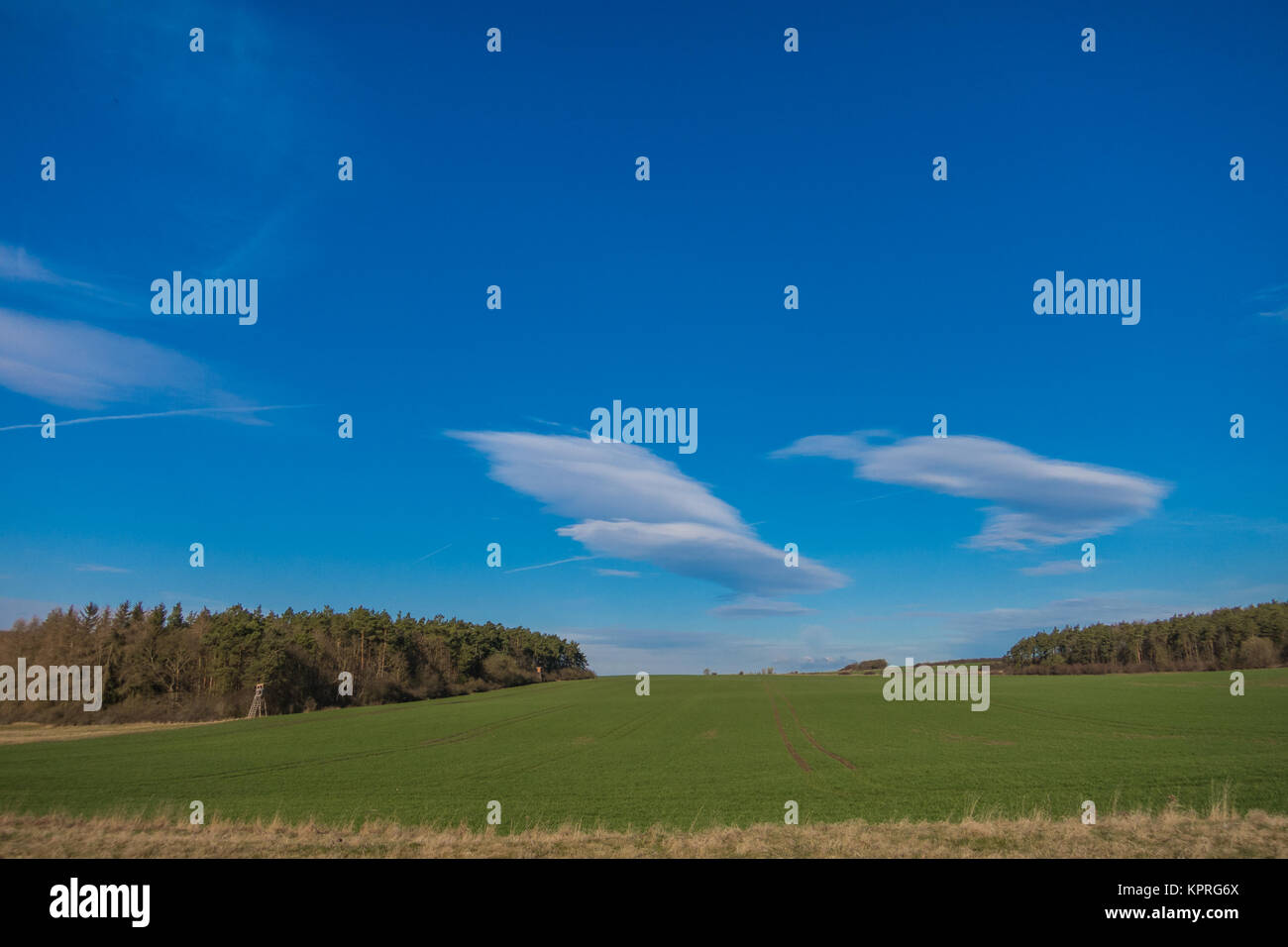 landscape in spring Stock Photo - Alamy