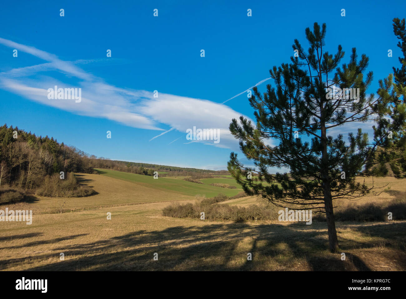 landscape in spring Stock Photo - Alamy