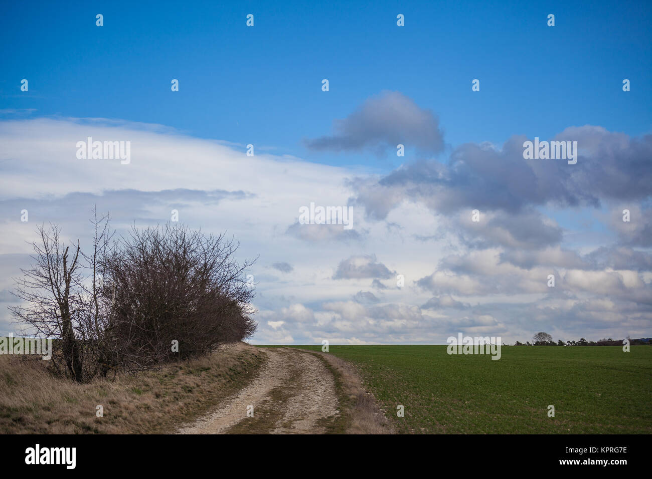 landscape in spring Stock Photo - Alamy