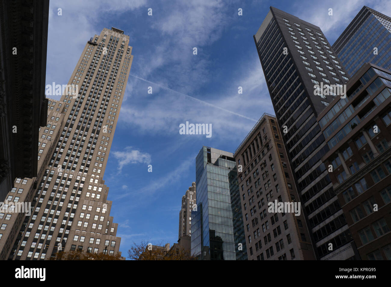 new york city is a cosmopolitan city on the east coast of the united ...