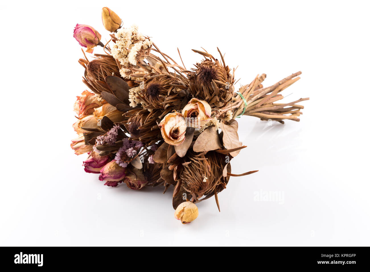 Rose show Cut Out Stock Images & Pictures - Alamy