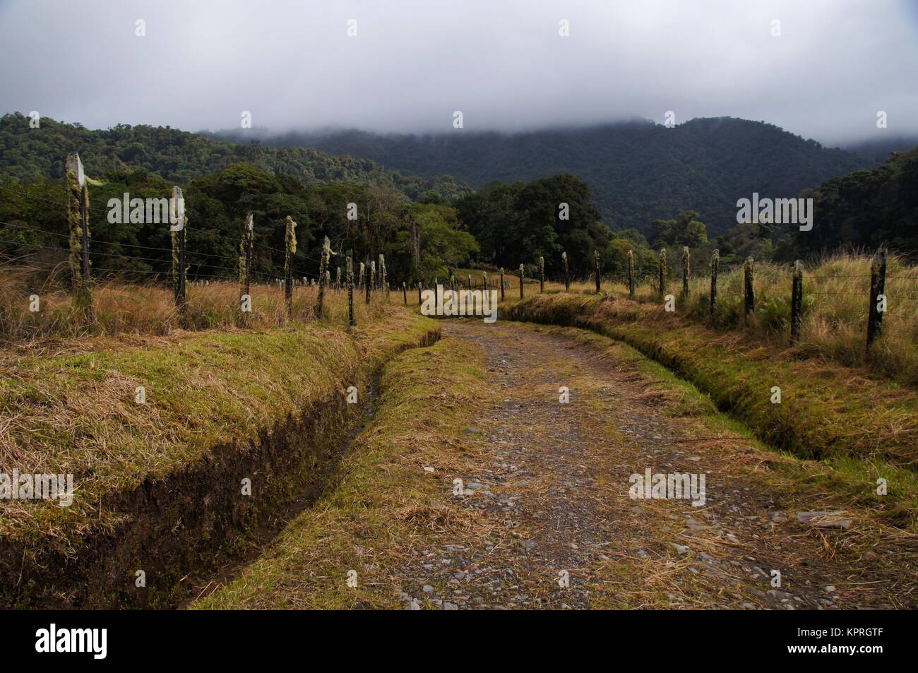 Old unpaved road in rural Panama on a foggy morning Stock Photo - Alamy