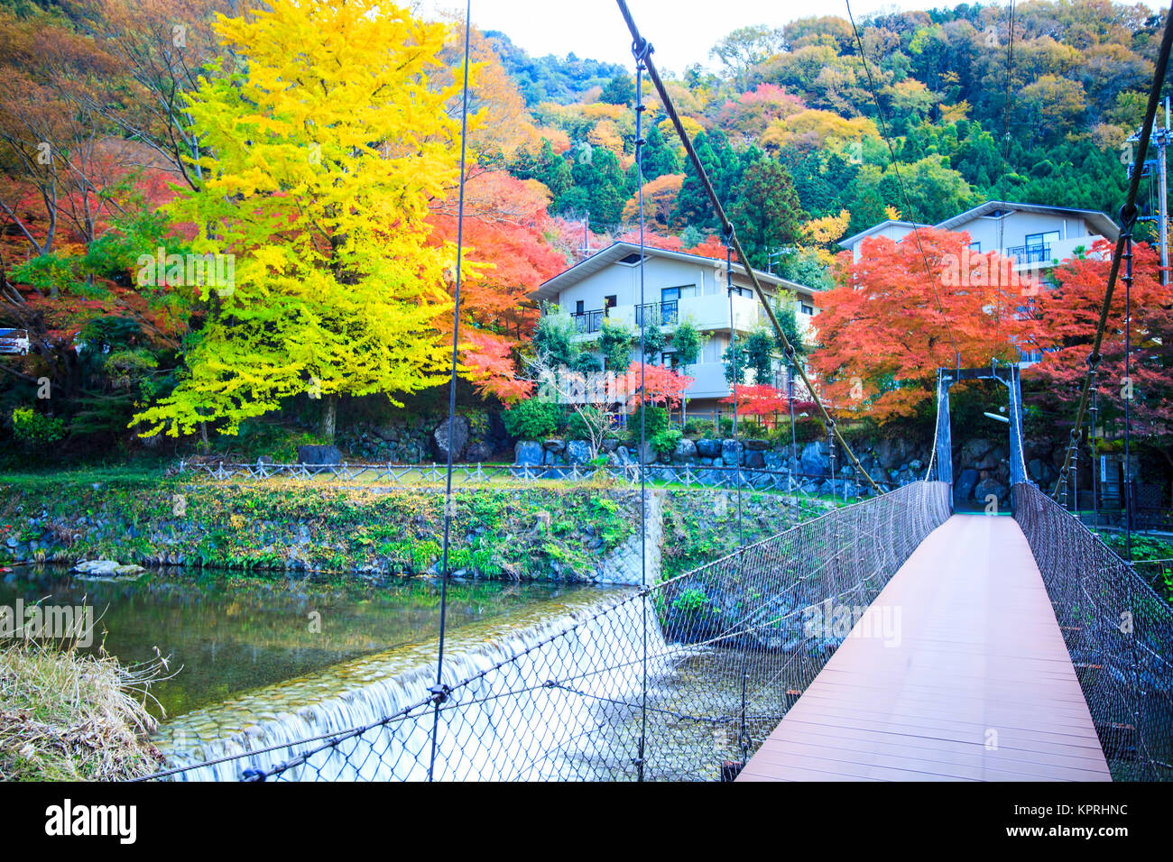 Autumn Colors in Japan, Beautiful autumn leaves Stock Photo - Alamy