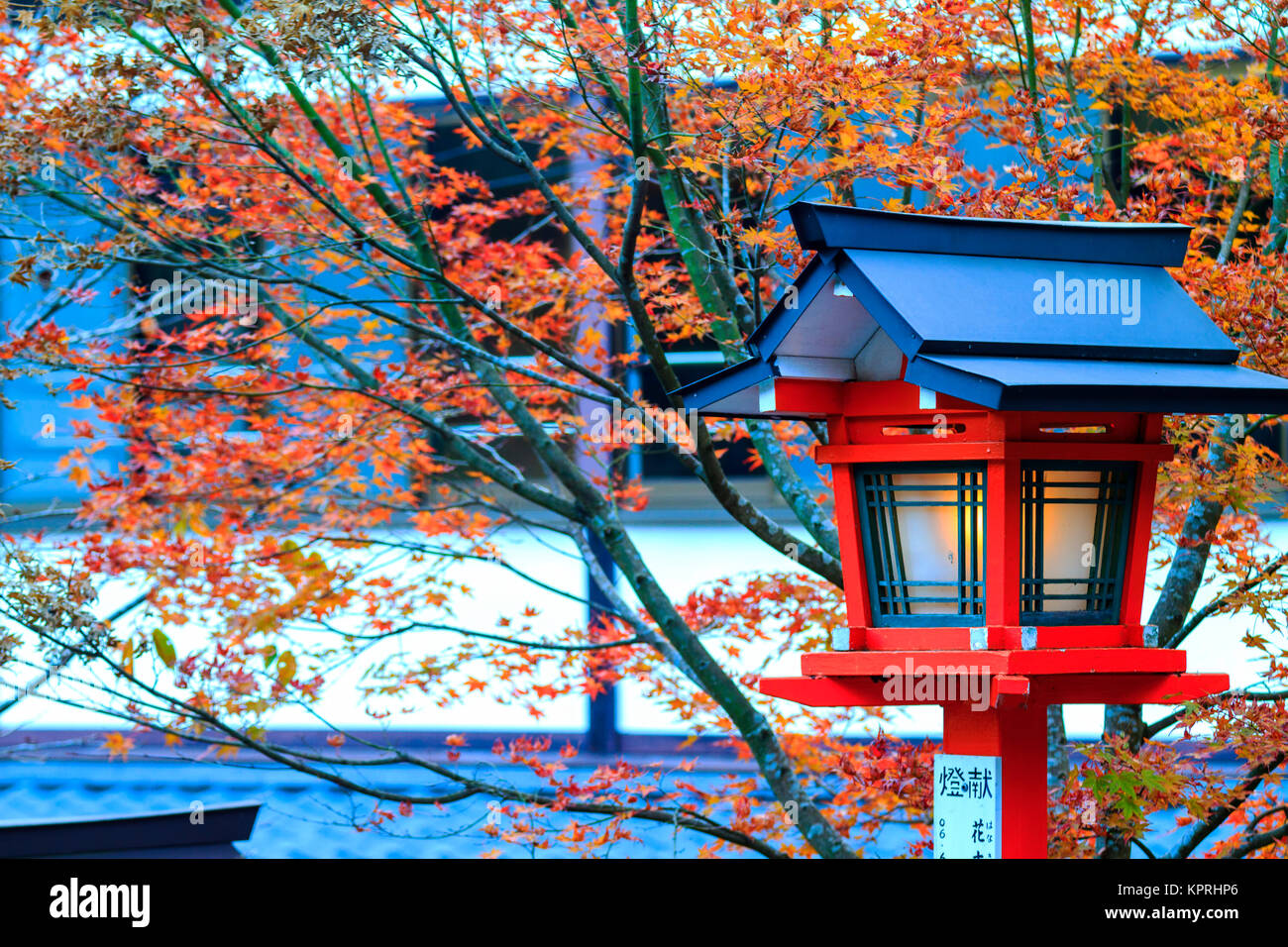 Autumn Colors in Japan, Beautiful autumn leaves Stock Photo - Alamy