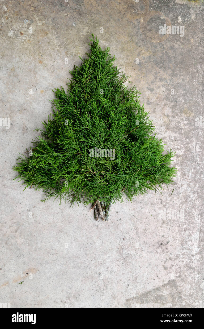 Rustic cedar christmas tree hi-res stock photography and images - Alamy