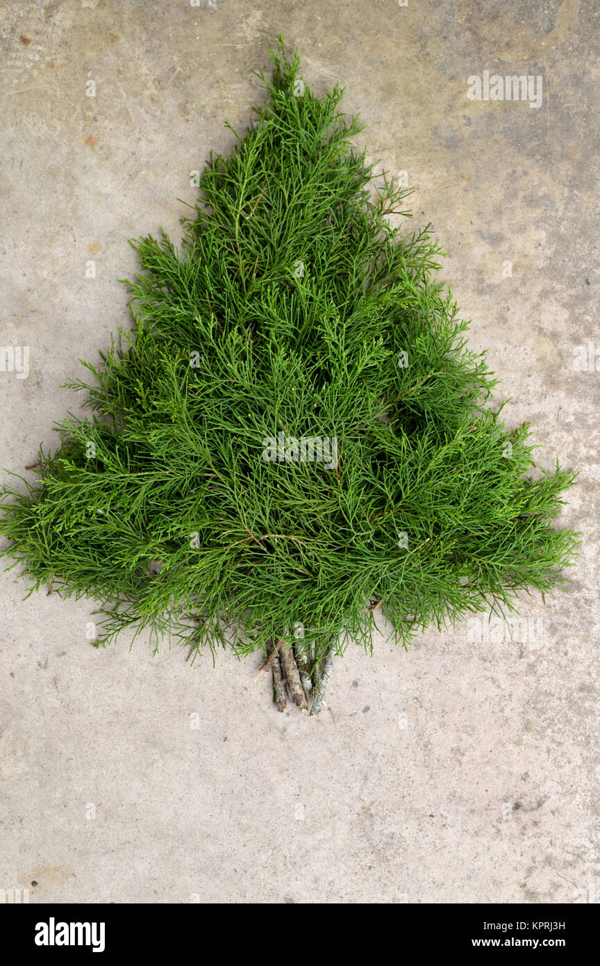 Rustic cedar Christmas tree background Stock Photo - Alamy