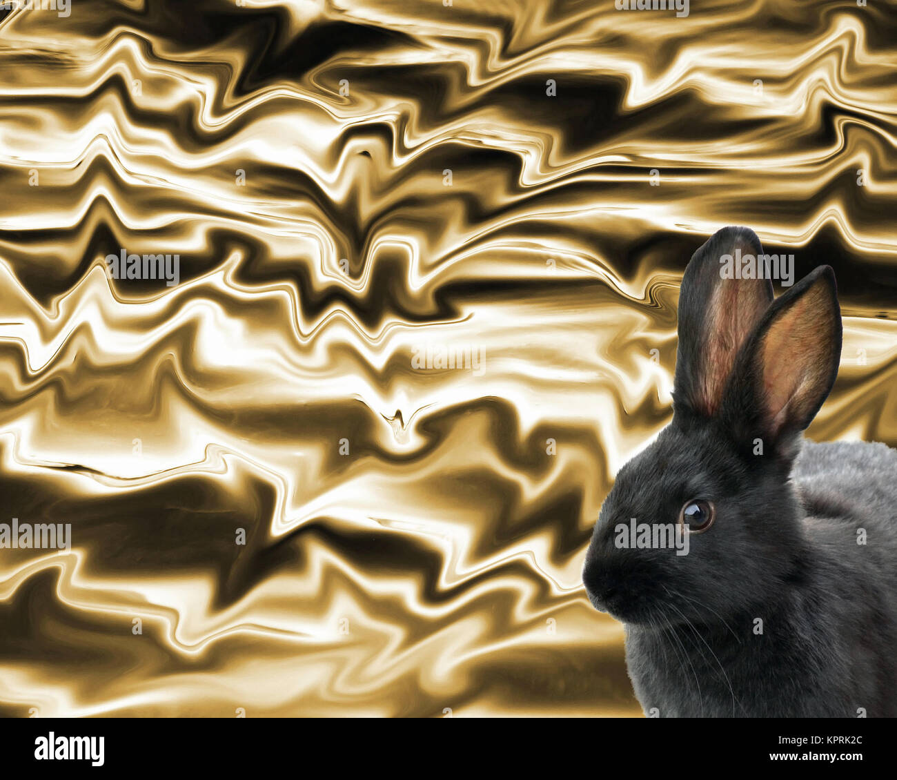 Cute Black Bunny Wallpaper