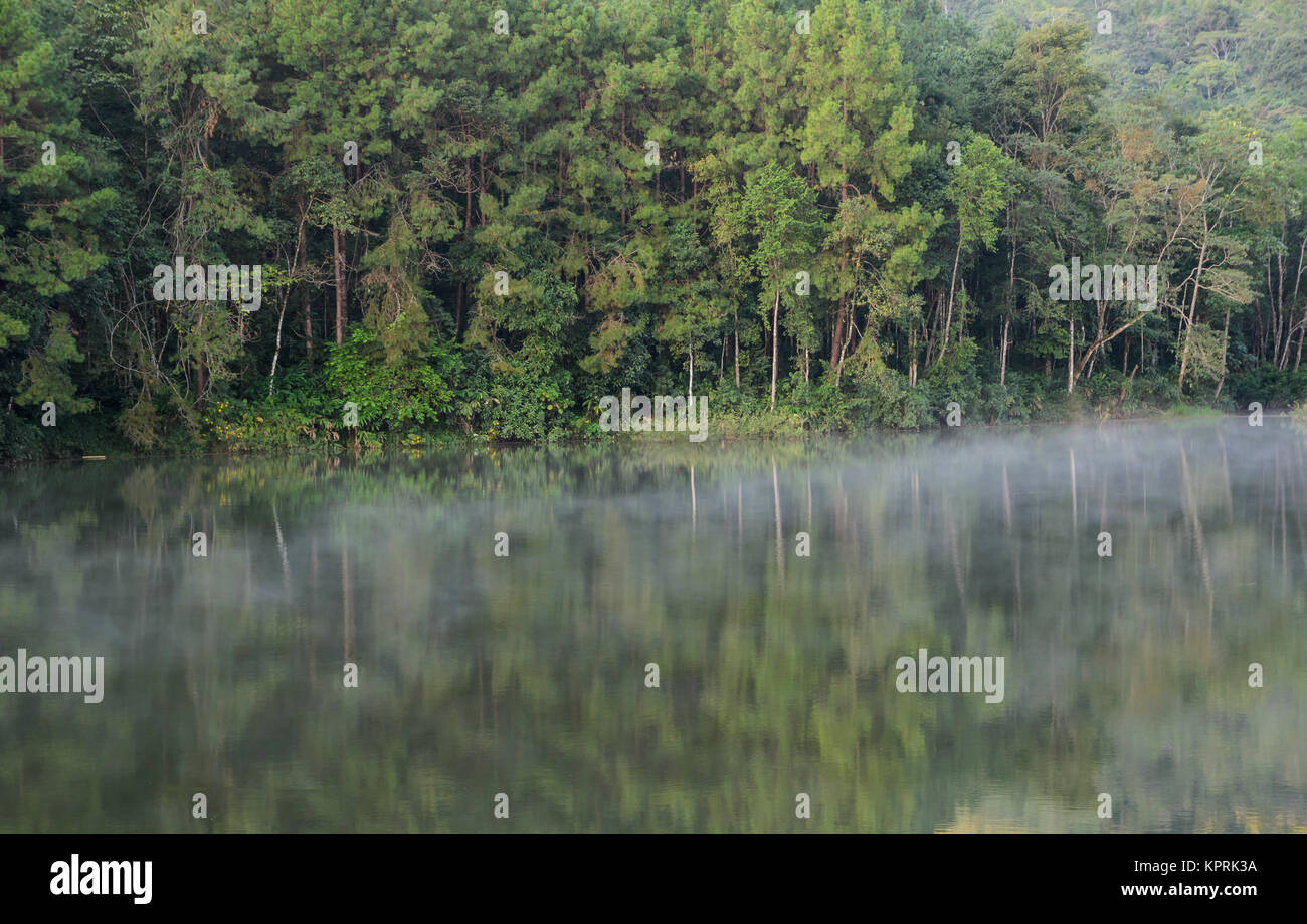 Beautiful view of pine tree reflection in a lake at Pang Oung national ...